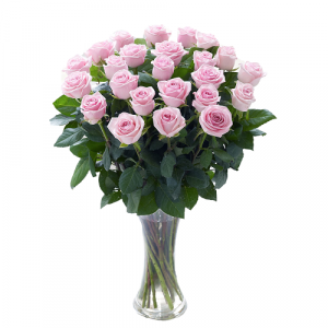 Pink Surprise - Flowerland